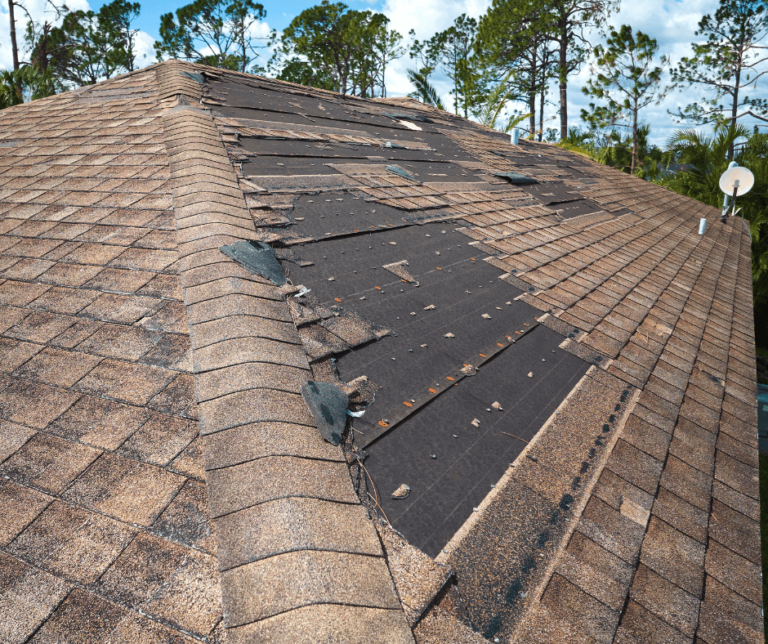 How to Spot Water Damage on Your Union Home's Roof - Emmendorfer Exteriors